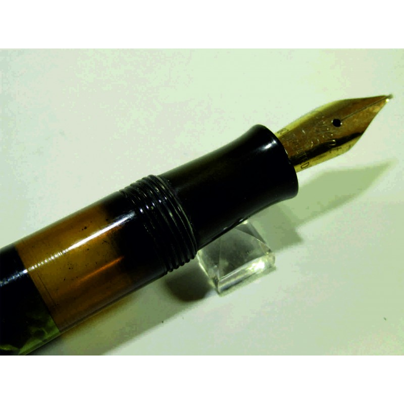 German fountain pen REFORM