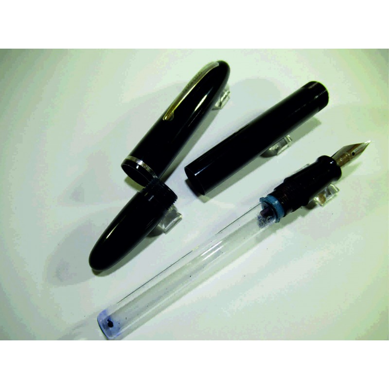 Fountain pen WATERMAN COMMANDO glass cartridge