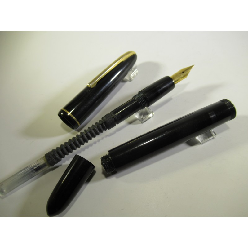 brand evergood - penscollector - fountain pen